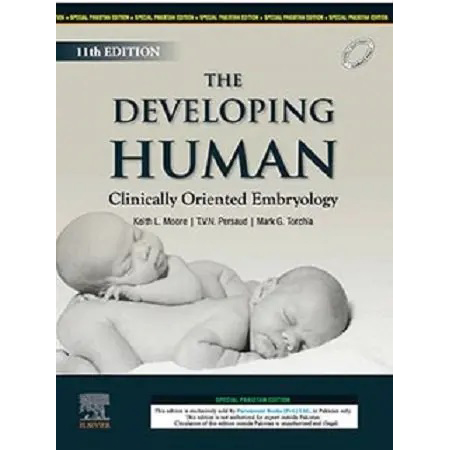 KLM Embryology Developing Human 11th Edition - Pakistan online books Store